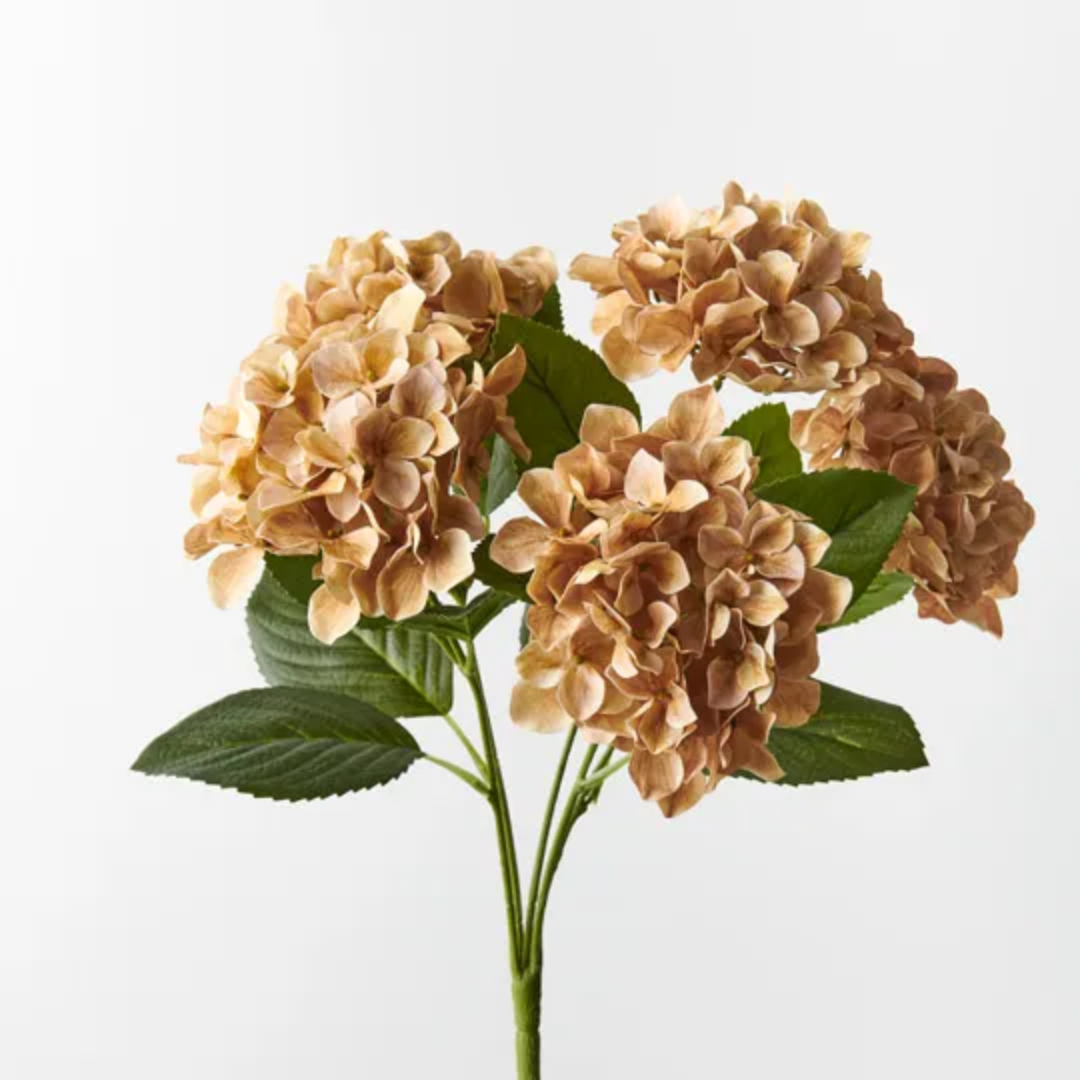 Hydrangea Bush 50cm / Coffee – Home Goods Hardware
