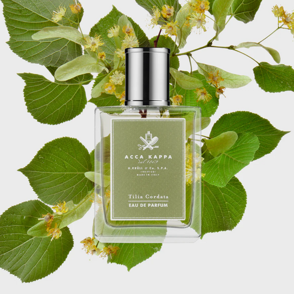 Tilia Cordata EDP / 100ml – Home Goods Hardware