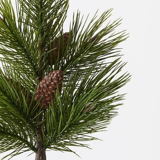 Tree Pine Jasper in Pot 53cm / Green – Home Goods Hardware