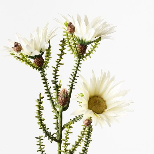 Kaaps Flower Spray 61cm / White – Home Goods Hardware