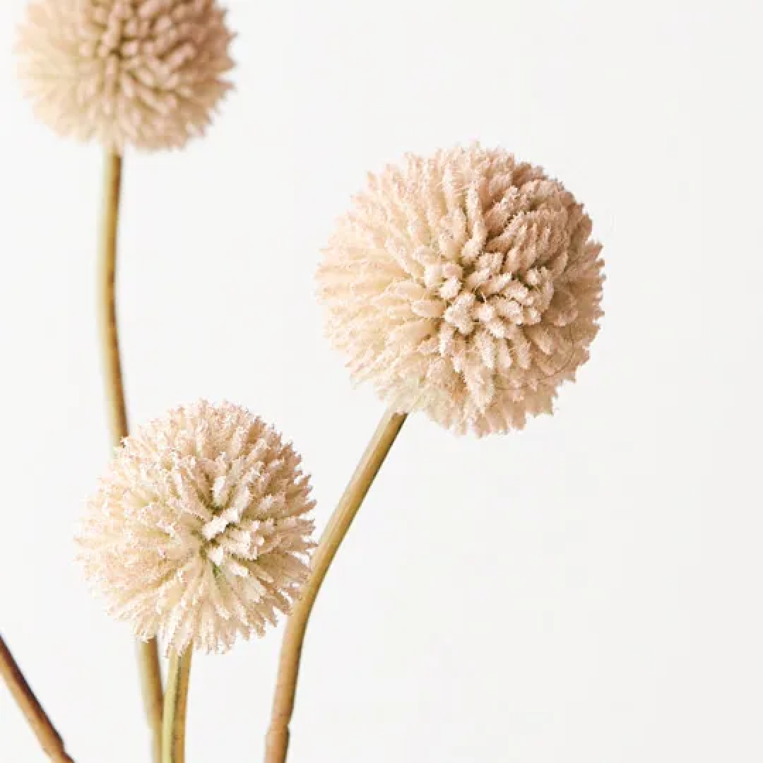 Billy Button Bundle / Cream Pink / 48cm – Home Goods Hardware