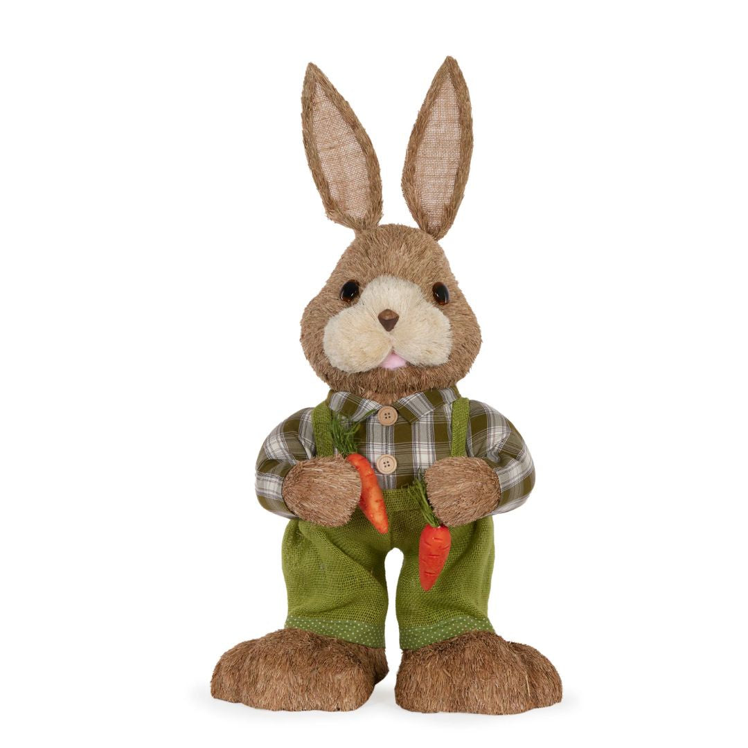 Harley Rabbit with Carrots – Home Goods Hardware