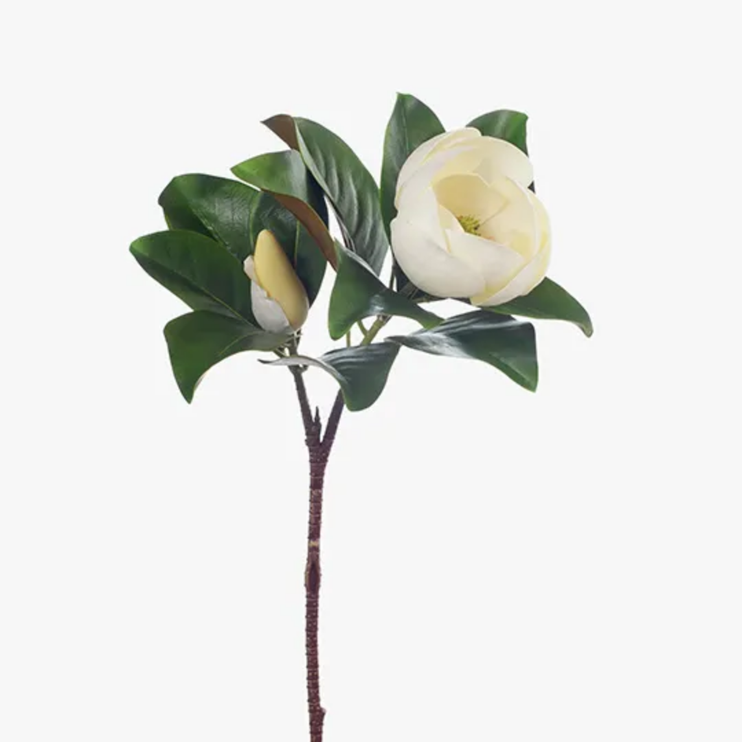 Magnolia Spray 80cm / White – Home Goods Hardware